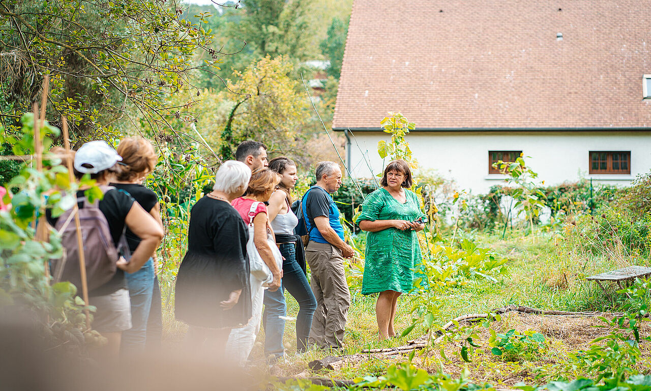 Balade par les sentiers de Palaiseau - Ville de Palaiseau