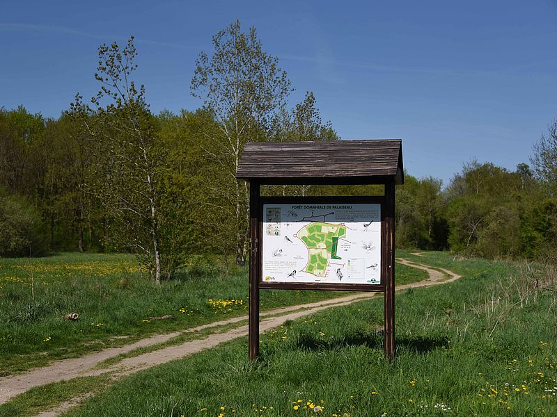 Forêt domaniale - Ville de Palaiseau