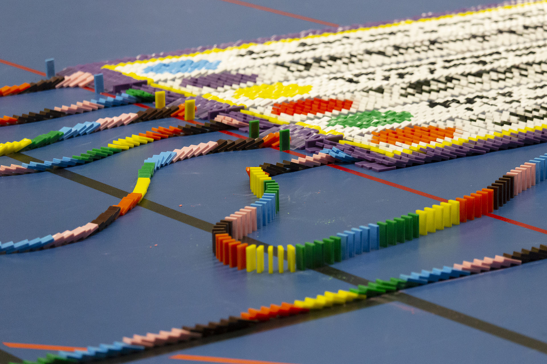 Dominos Day 2020 - Ville de Palaiseau